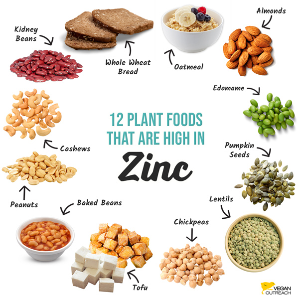 Nutrition Tips for New Vegans - Vegan Outreach