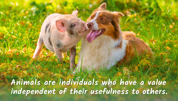 Being Vegan Helps Animals (10W 2.0) - Vegan Outreach