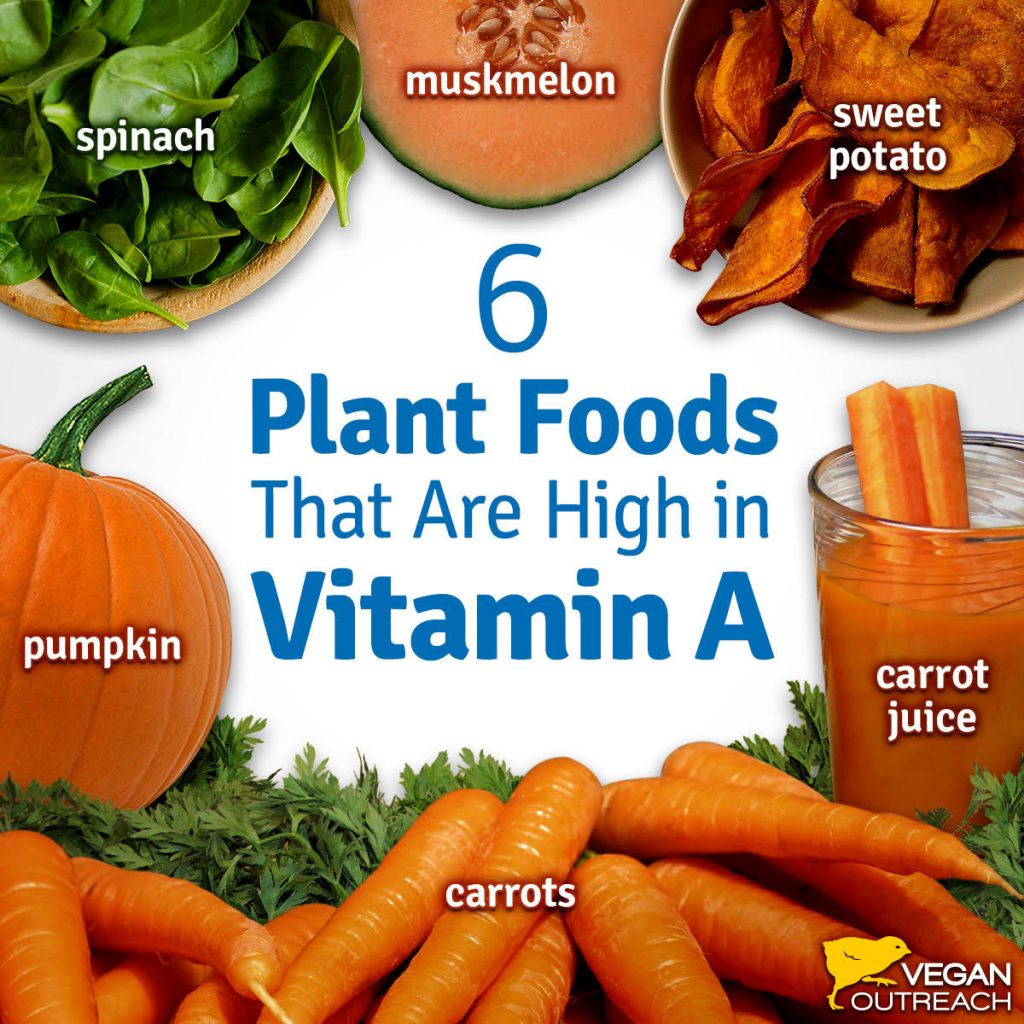 Nutrition Tips - Vegan Outreach